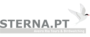 Passeios de Barco & Bidwatching na Ria de Aveiro - Sterna